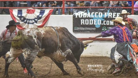 Home - Tobacco Free Rodeo